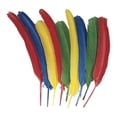 Creativity Street Quill Feathers - Multipurpose - 24 Piece(s) - 24 ...