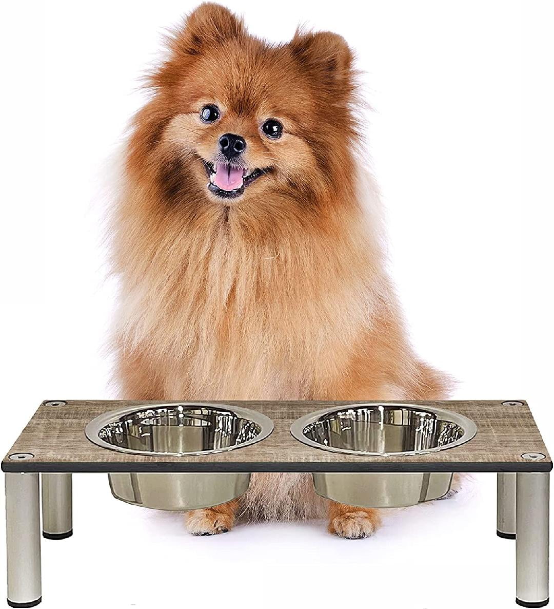 Can Dogs Stand On Two Legs