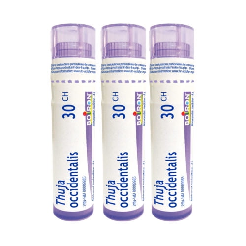 Click here for Boiron Canada Boiron Thuja Occidentalis 30ch - Hom... prices
