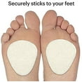 12-Pack Metatarsal Foot Pads - 1/4” Thick, Pain Relief Cushions ...