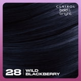 Clairol Hair Color Creme 28 Wild Blackberry Permanent Hair Dye with ...