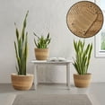Casafield Round Seagrass Planter Baskets, Large Medium Small, Indoor ...