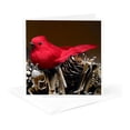 3drose, Photograph of a Red Cardinal Ornament on Winter Pinecone ...