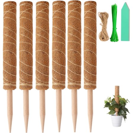 6 pieces 40 cm plant stick coconut moss stick, moss stick plant totem ...
