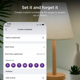 Roku Indoor Smart Plug SE with Custom Scheduling, Voice Control, and ...