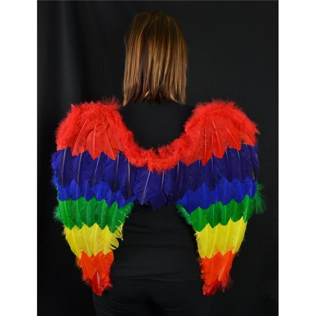 Midwest Design Imports 11000 Feather Rainbow Angel Wings | Walmart Canada