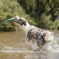 Chuckit!, Dog Flying Disc, 6 inches, Amphibious Zipflight - Walmart.com