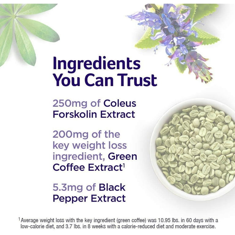 Forskolin Supplement