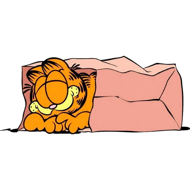 Sleeping Garfield