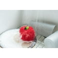 Lion Brand Yarn - Stitch Soak Scrub - 6 Color Assortment (Coral Reef ...