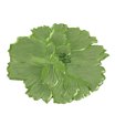 Farfi Beautiful Flower Shape Placemat Exquisite Fine Texture Polyester ...
