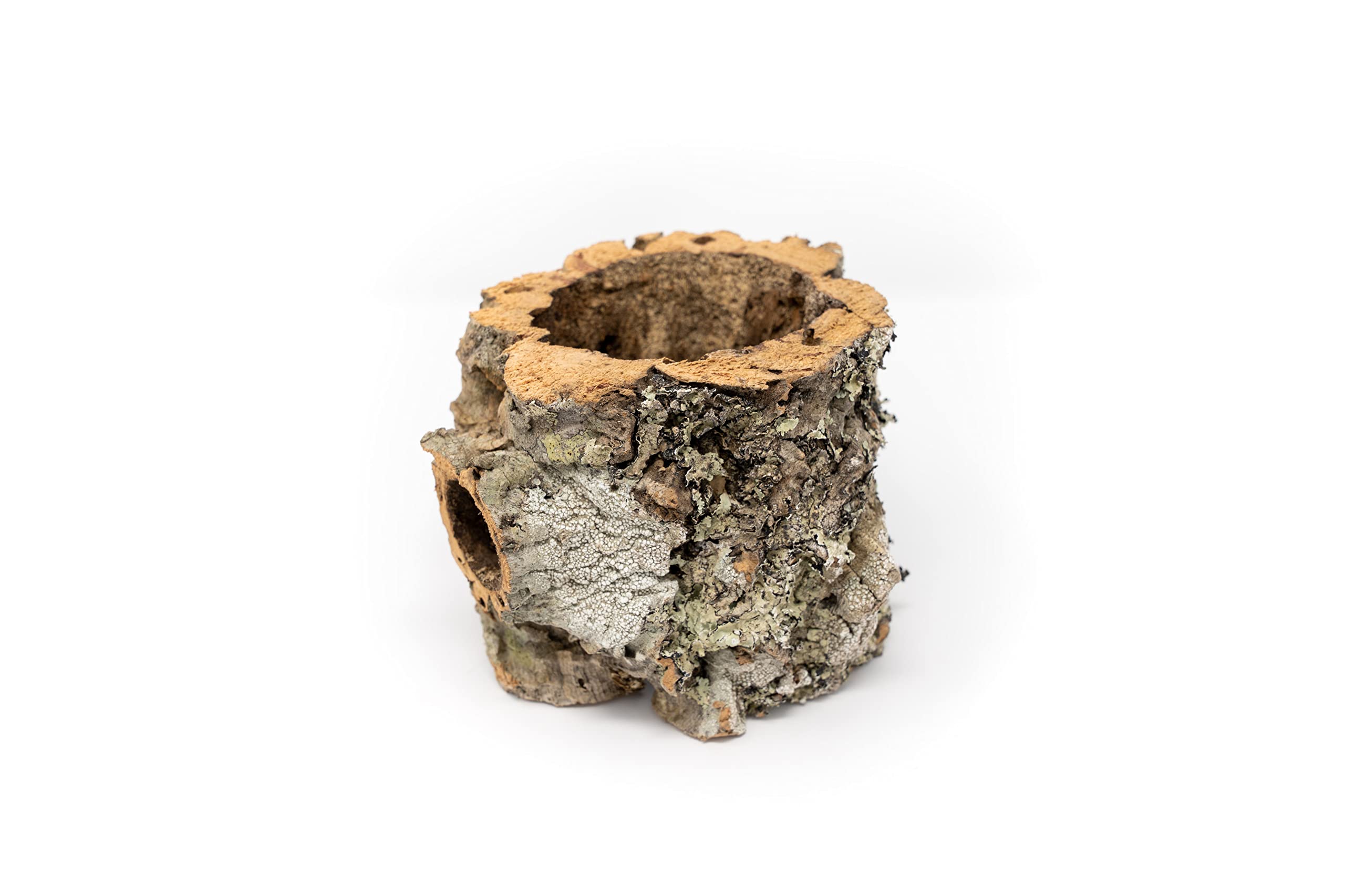 Air plant shop Natural Cork Bark Planters- Wholesale and Bulk ...