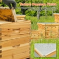 Preenex 30 Frame Bee Hive Box Kit Beeswax Coated Langstroth Beehive Kit ...