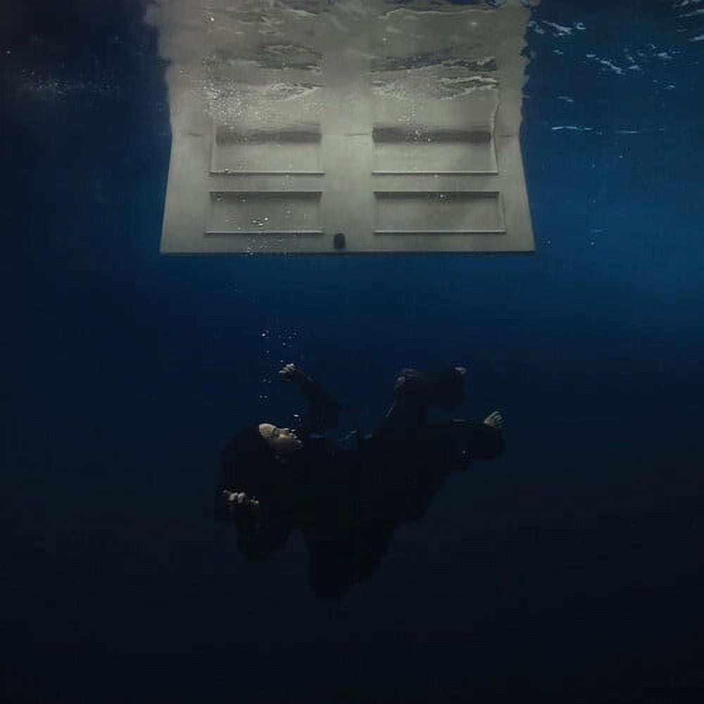 Click here for Interscope Records Hit Me Hard And Soft prices