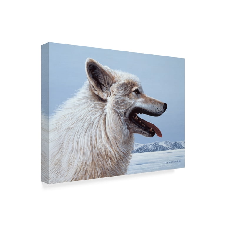 Arctic Wolf Art