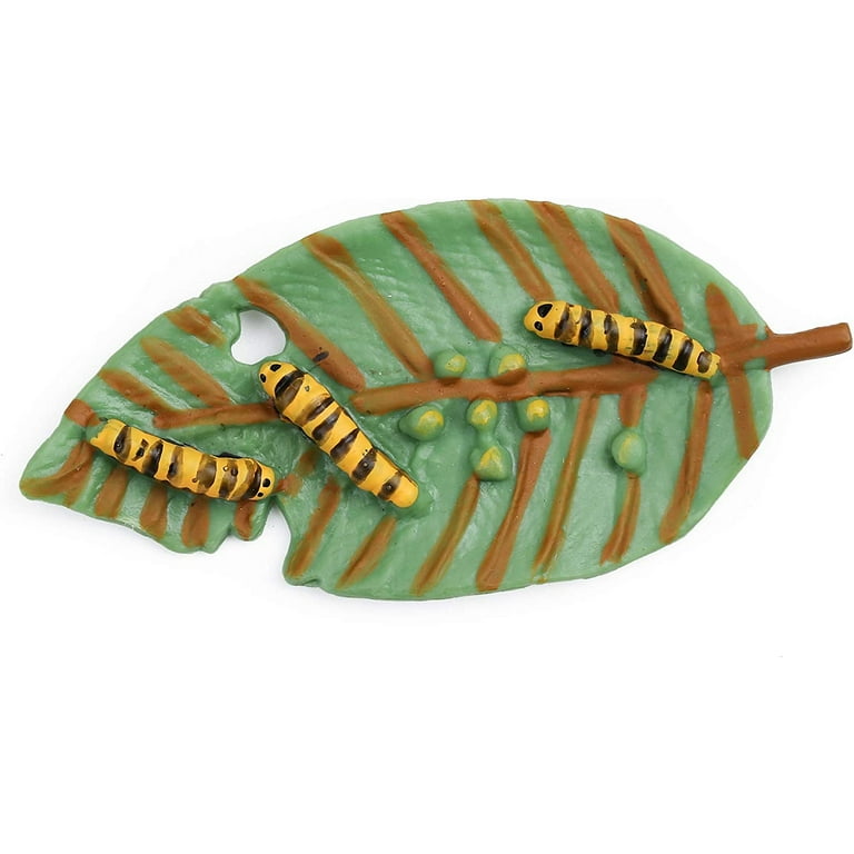 PVC Animal Life Cycles SIENON 8-Piece Butterfly Life Cycle Toys ...