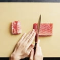 Asahi Cookin' Cut Antibacterial Rubber Cutting Board, 15.7 x 9 ...