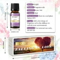 EUQEE Floral Fragrance Oils Set, Essential Oils for Diffuser, Candle ...