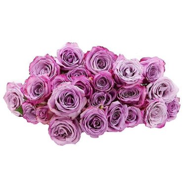 Assorted Colors - Roses - Farm Direct Fresh Cut Flowers - 125 Stems ...