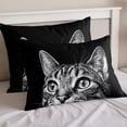 Civet Cat Bedding Duvet Cover Set Queen Size 4 Pieces, Modern Black ...