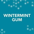 (6 pack) Orbit Gum Wintermint Sugar Free Chewing Gum, Single Pack - 14 ...