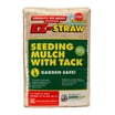 American Excelsior Premier Straw Erosion Control Lawn Cover, Ground ...