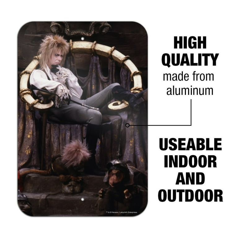 David Bowie Labyrinth Quotes