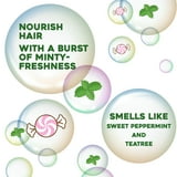OGX Hydrating + Tea Tree Mint Shampoo with Conditioner, Sulfate ...