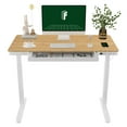 "FLEXISPOT Adjustable Bamboo Workstation, 48""x24"", with USB Ports and ...