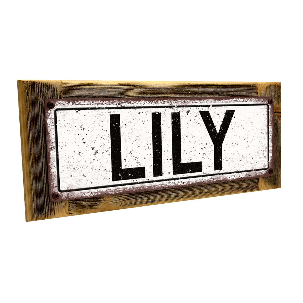 Framed Lily 4"x12" Metal Sign, Wall Décor for Kids Room and Nursery ...