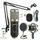 ZINGYOU BM800 Condenser Microphone Bundle Mic Kit for Studio Recording ...