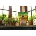 Cactus, Palm and Citrus Potting Soil, Fast Draining Mix, 8 qt, Great ...