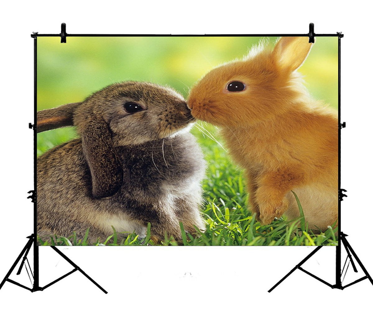 GCKG 7x5ft A pair of cute fluffy bunny Rabbits Polyester Photography ...