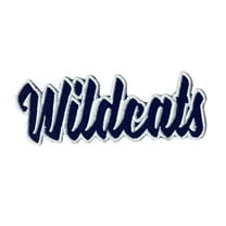 Wildcats - Orange/Gray - Team Mascot - Words/Names - Iron on Applique ...