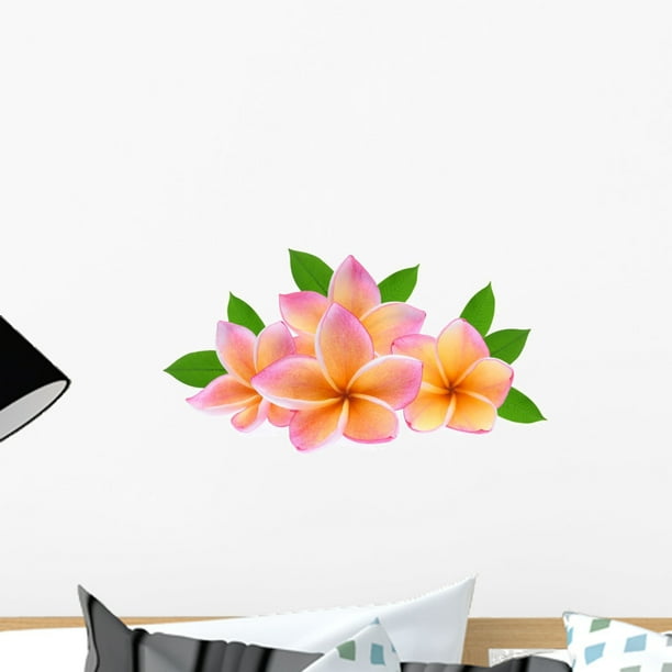 Frangipani Tropical Flower Plumeria Wall Decal Wallmonkeys Peel and ...