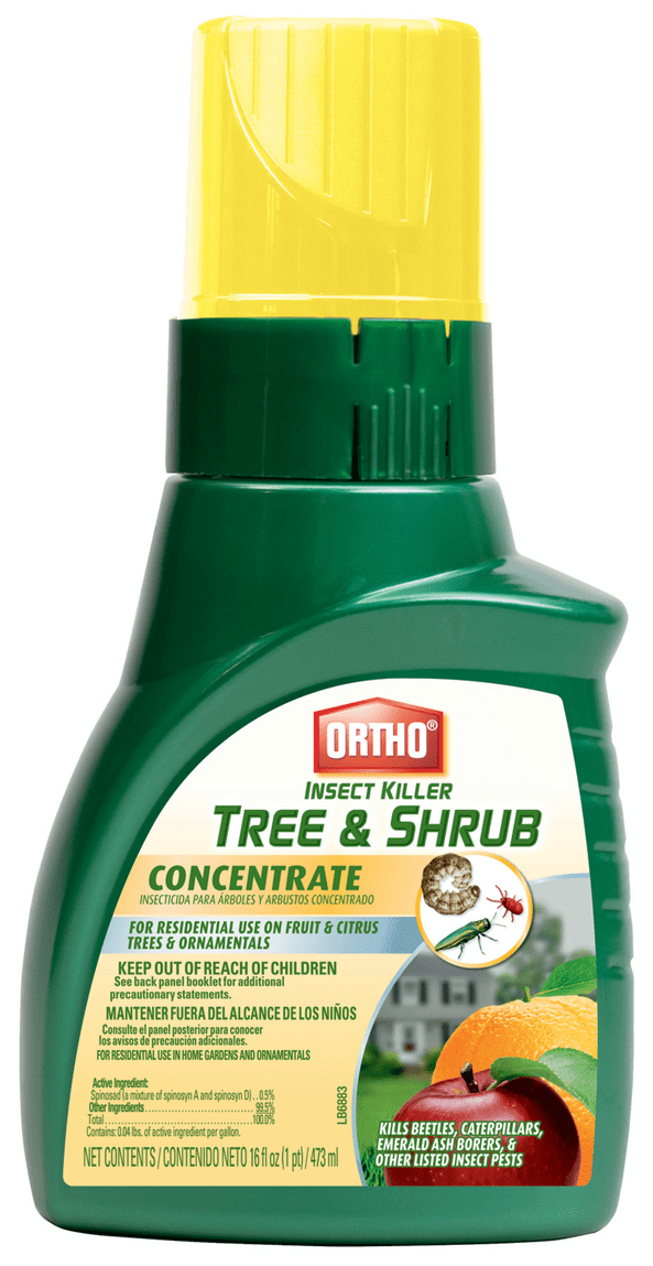 Ortho Insect Killer Tree & Shrub Concentrate 16 oz. - Walmart.com