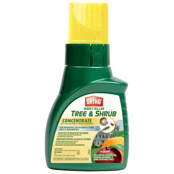 Ortho Insect Killer Tree & Shrub Concentrate 16 oz. - Walmart.com