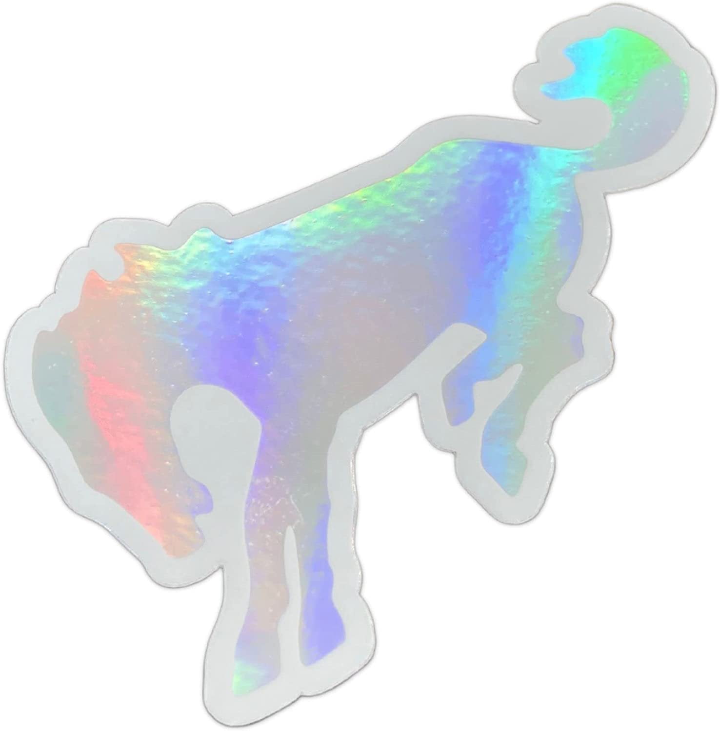 Buck Bronco Holographic Sticker 5 Pack #BuckBuckBronco Youve Been ...