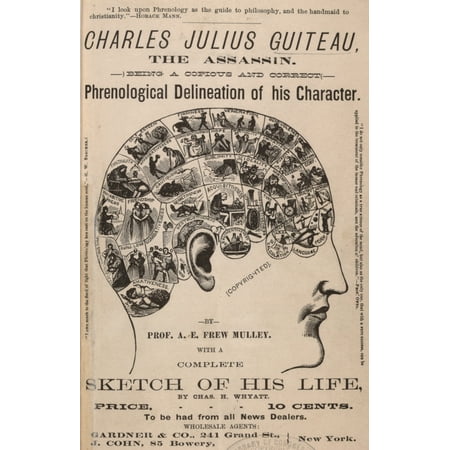 Phrenological Chart Of The Brain Of Charles J. Guiteau History (18 x 24 ...