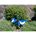 In the Breeze Baby Blue Jay Wind Spinner, Outdoor Colors, 12x23x18.5 ...
