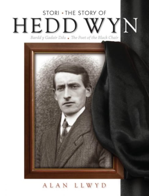 Stori Hedd Wyn/The Story of Hedd Wyn (Paperback) - Walmart.com