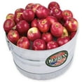 Behrens 32S 1-Bushel Basket Round Galvanized Steel Tub - Walmart.com