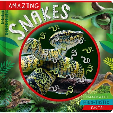 Never Touch a: Never Touch a Koala! (Board Book) - Walmart.com