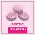 Altoids Arctic Strawberry Sugar Free Mints Single Pack, 1.2 Ounce ...
