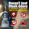Chemical Guys Automotive Odor Eliminating Aerosol Fogger, Black Frost ...