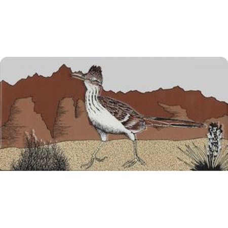 Roadrunner Photo License Plate - Walmart.ca