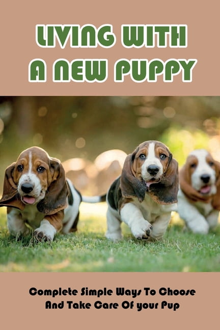 How Do I Choose A New Puppy