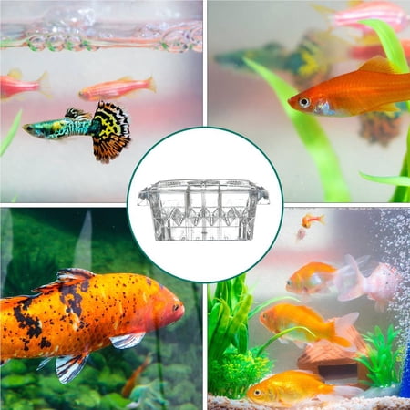Acrylic Fish Breeding Box Tank Transparent Hatchery to Use Indoor ...