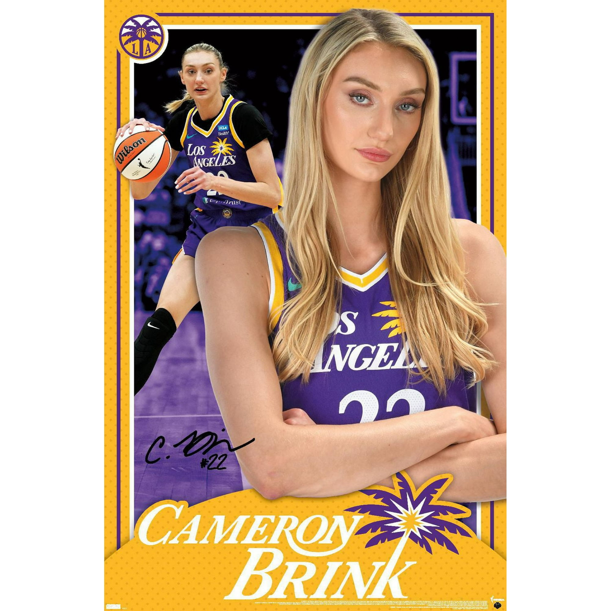 Click here for Trends International Wnba Los Angeles Sparks - Cam... prices