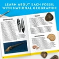 National Geographic Super Fossil Dig Kit - Walmart.com